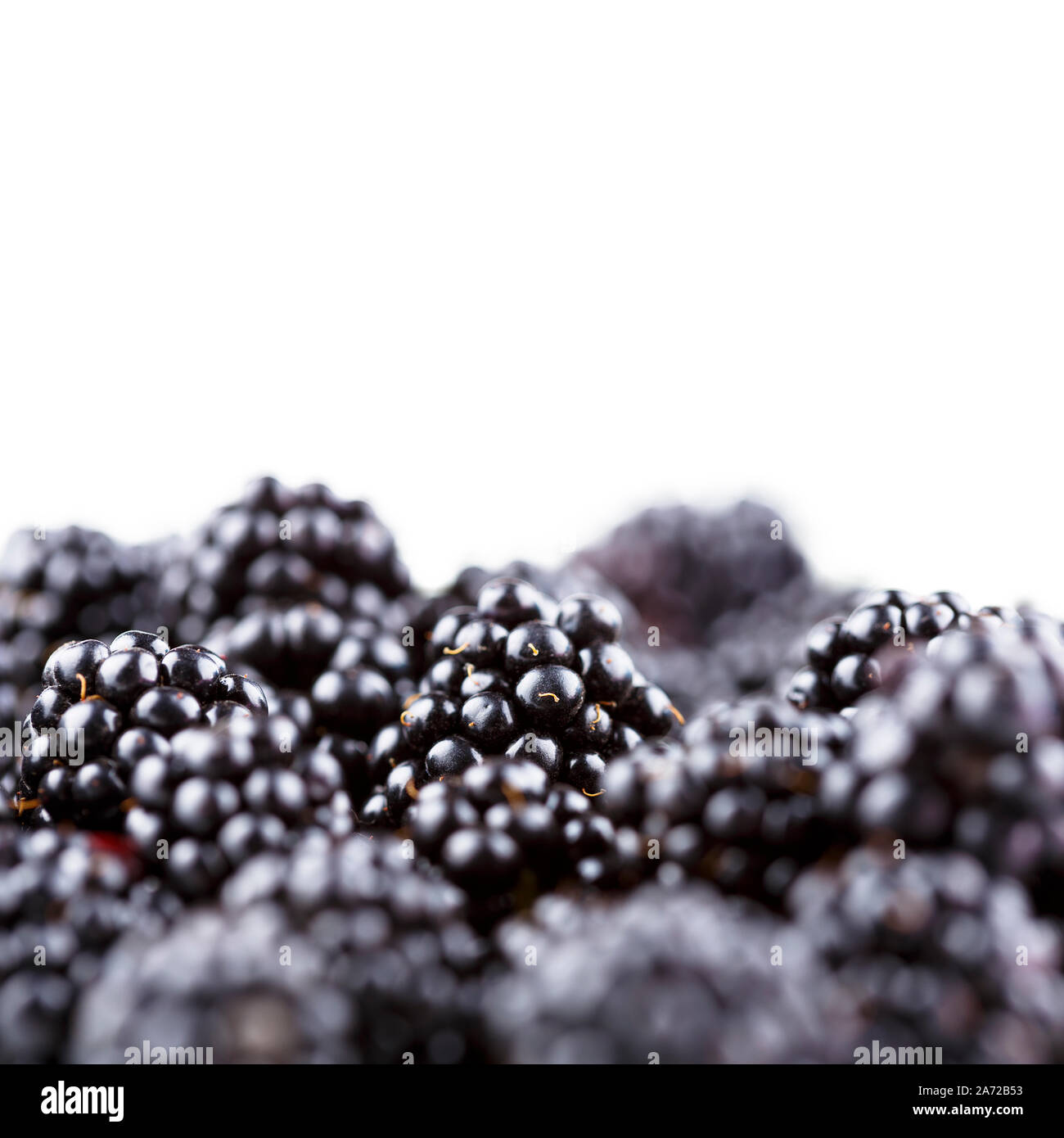 Blackberries isolated on white background Stock Photo - Alamy