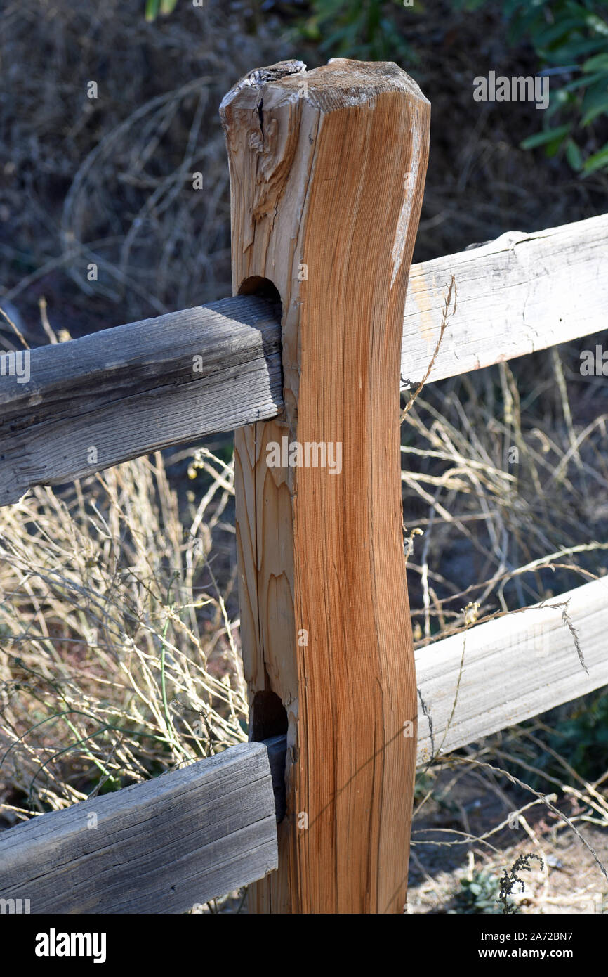 Split Rail Fence along a Trail Stock Photo - Alamy