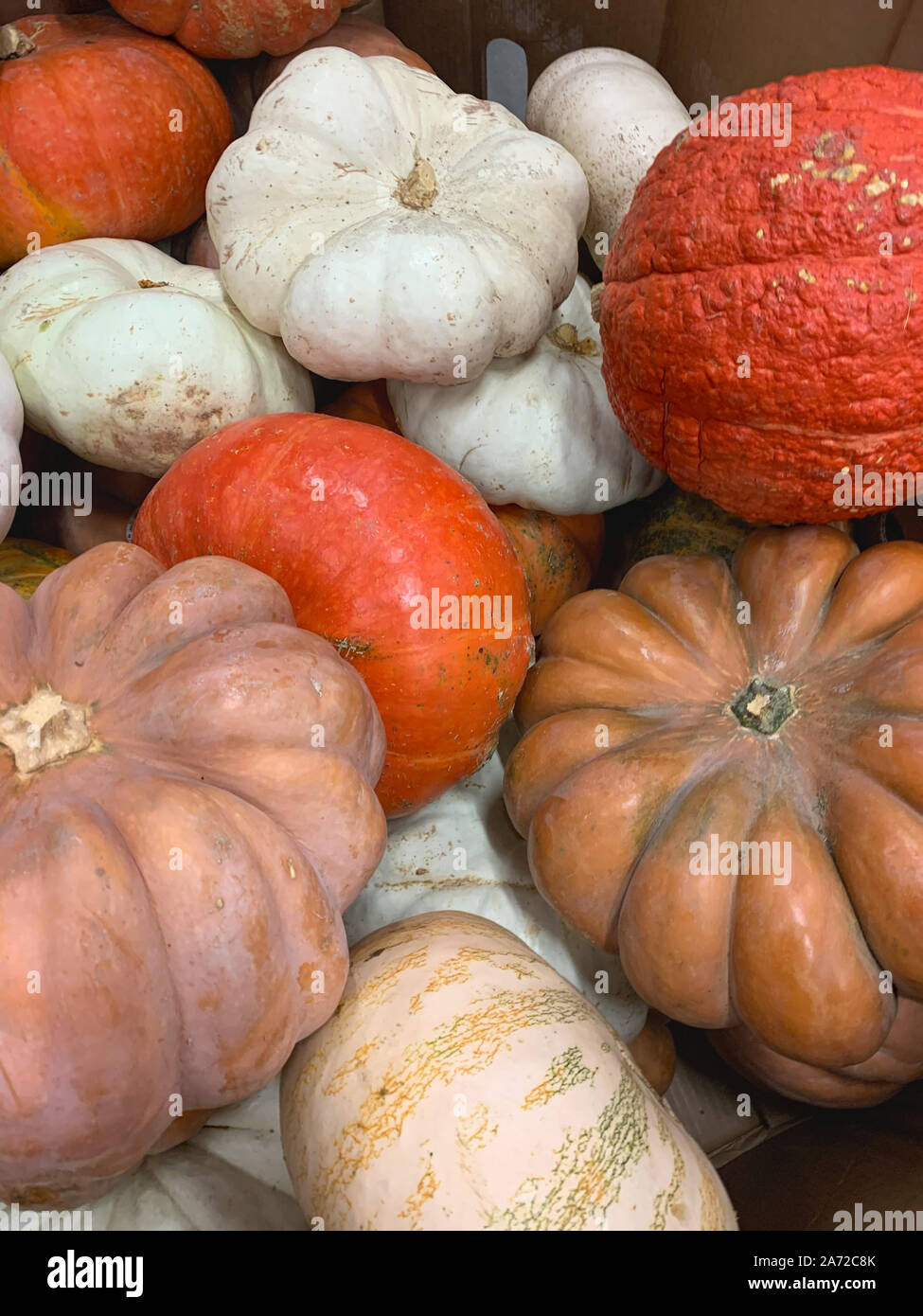 Abstract Several Gourds Background Stock Photo - Alamy