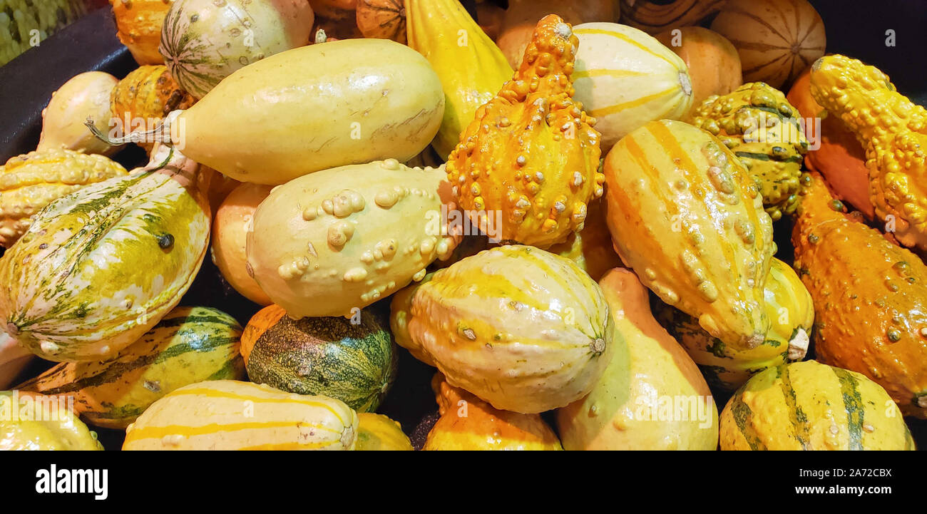 Abstract Several Gourds Background Stock Photo - Alamy