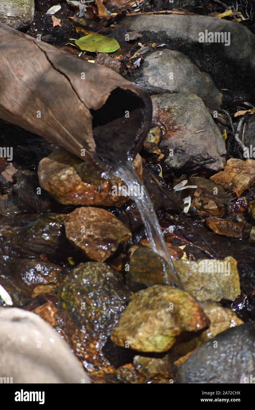 Waterfall glen forest preserve hi-res stock photography and images - Alamy