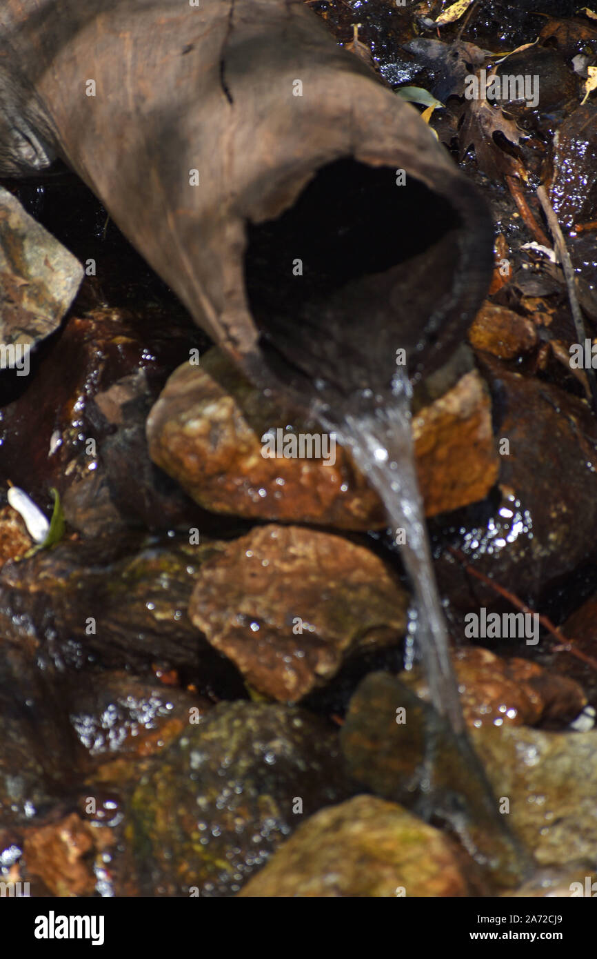 Waterfall glen forest preserve hi-res stock photography and images - Alamy