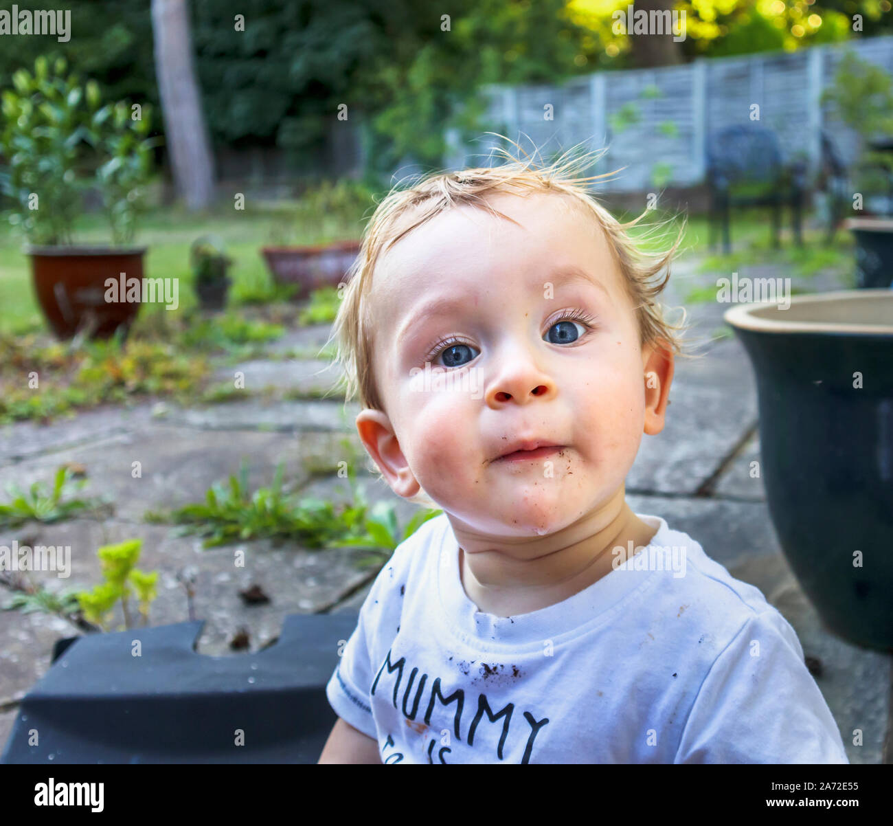 Cute chubby blonde hi-res stock photography and images - Alamy