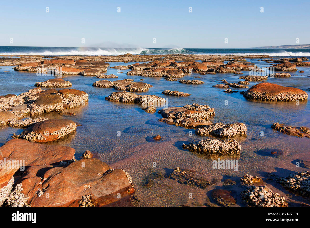 Reef coastline hi-res stock photography and images - Alamy