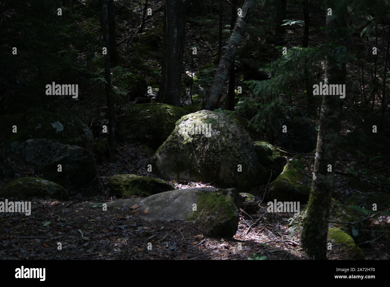 Mystic beautiful landscape hi-res stock photography and images - Alamy