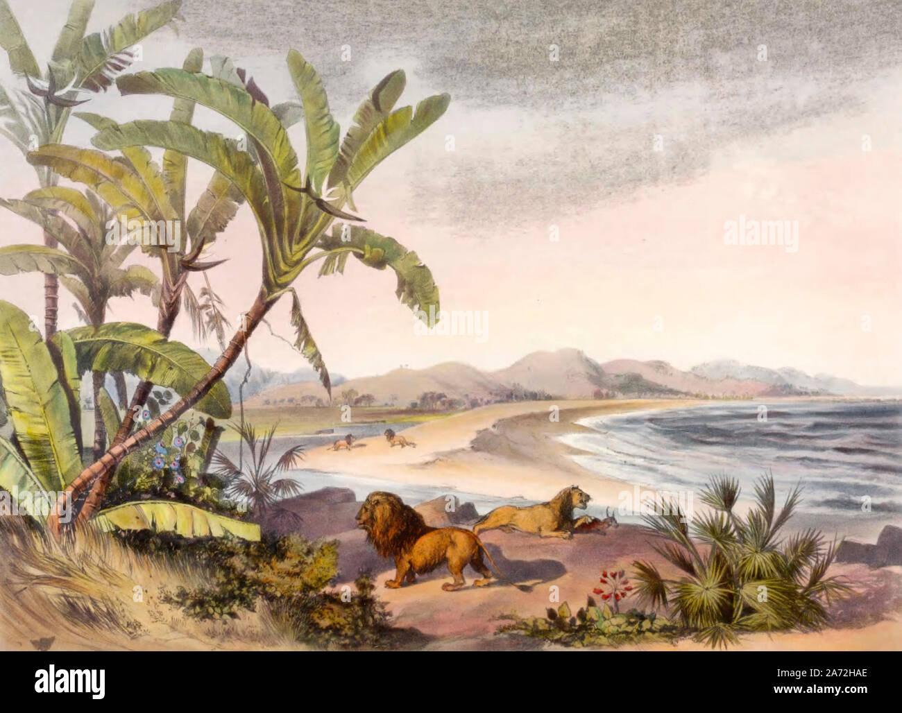 Mouth of the Umvoti River, on the Indian Ocean, Natal, South Africa ...