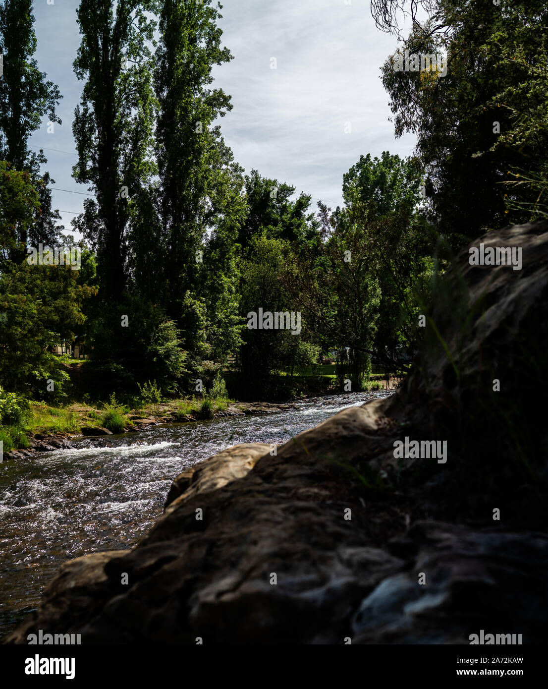 Small river flowing in a small rural town with large trees and uniquely ...
