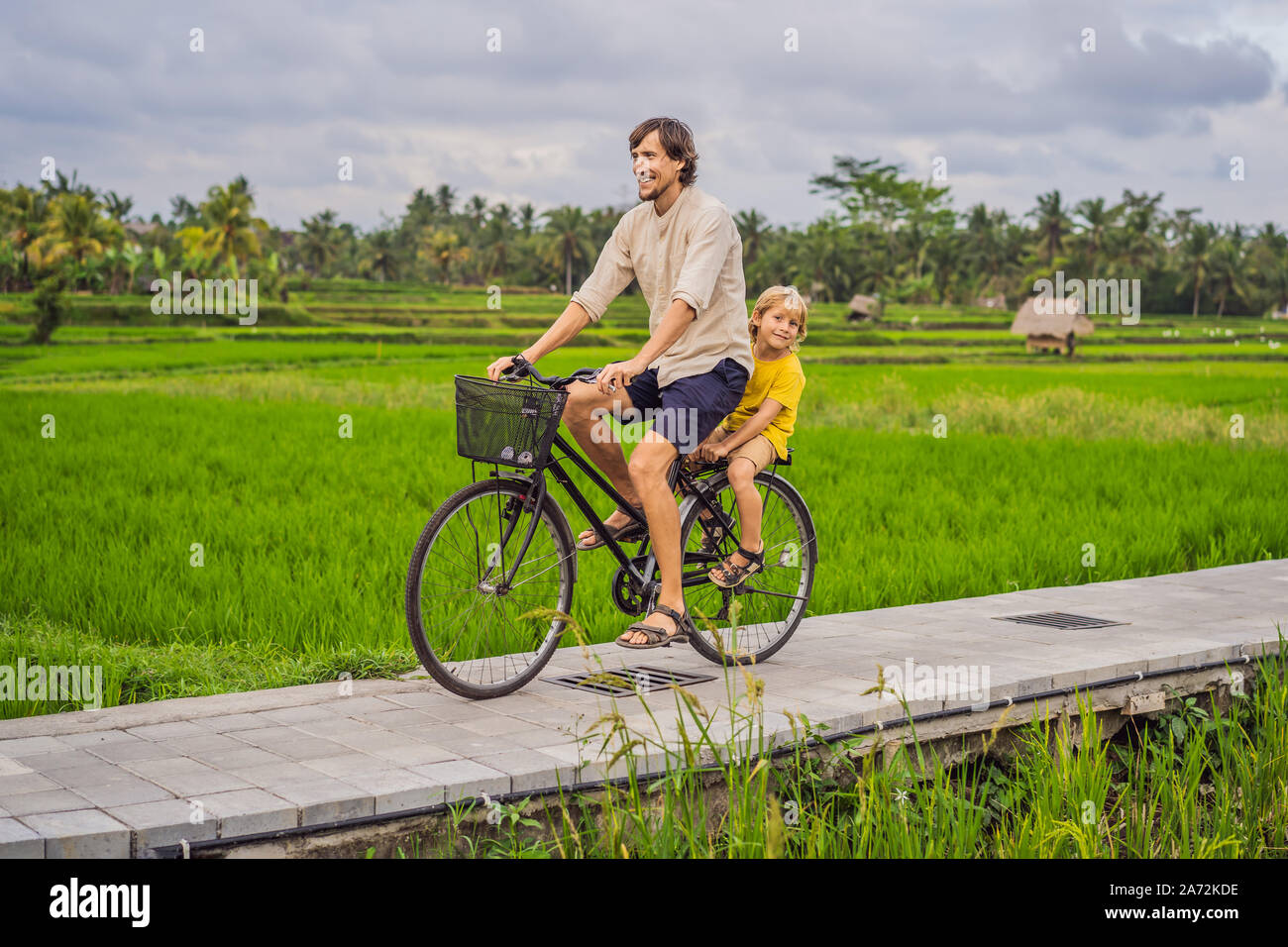 Father and son ride a bicycle on a rice field in Ubud, Bali. Travel to ...