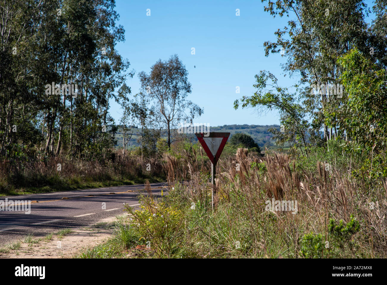 Traffic signs. is a universal symbol of traffic infrastructure placed ...