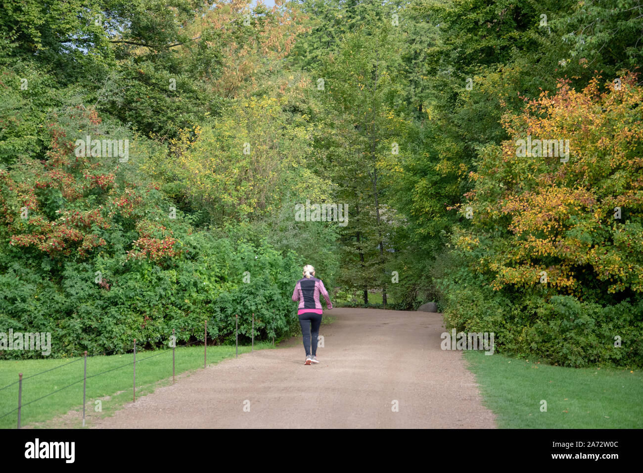 Frederiksberg Gardens (Danish: Frederiksberg Have) is one of the ...