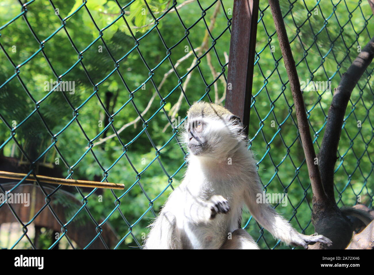Bolu of turkey hi-res stock photography and images - Alamy