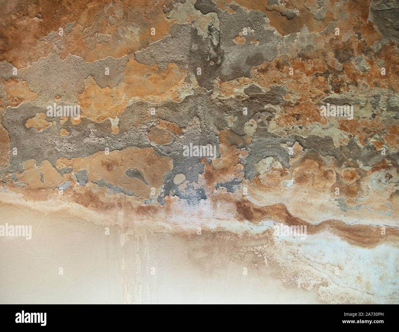 Building wall infected with fungus Stock Photo - Alamy