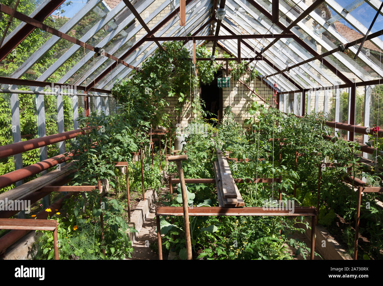 Natural small garden greenhouse in a countryside Stock Photo - Alamy