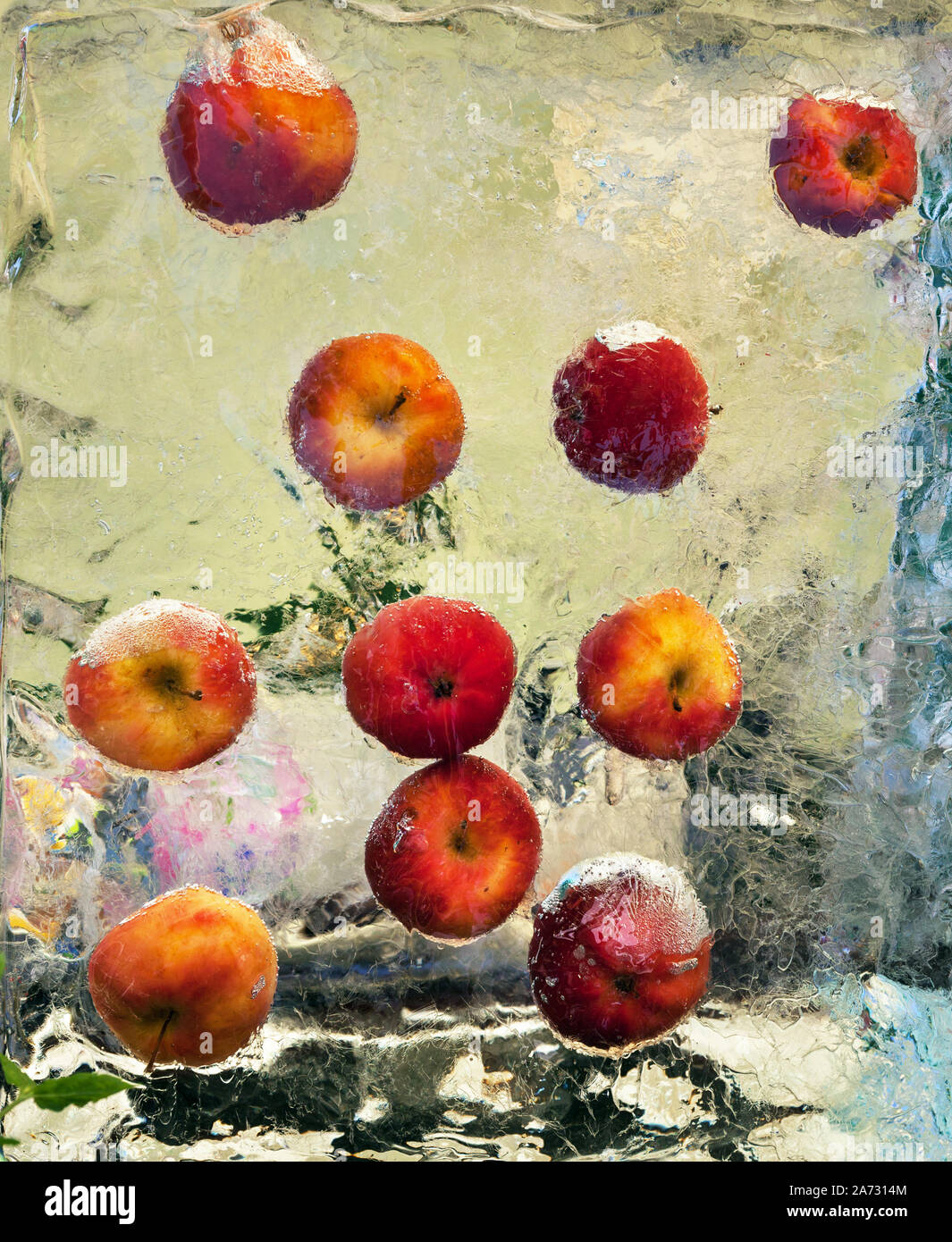 Apples are frozen in ice Stock Photo - Alamy