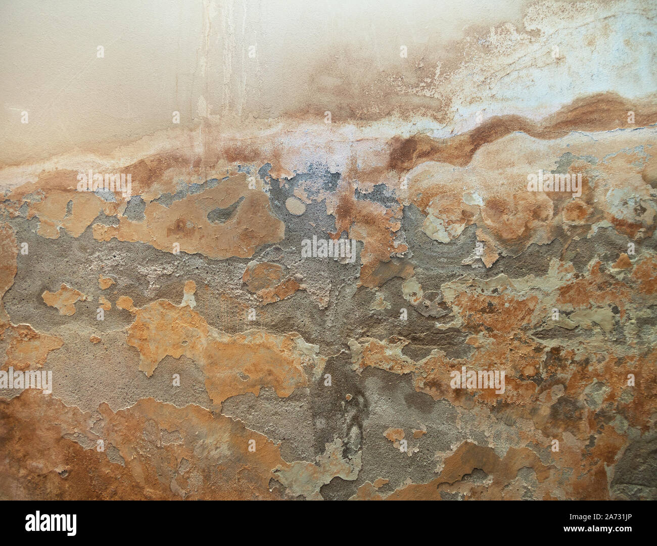 Building wall infected with fungus Stock Photo - Alamy