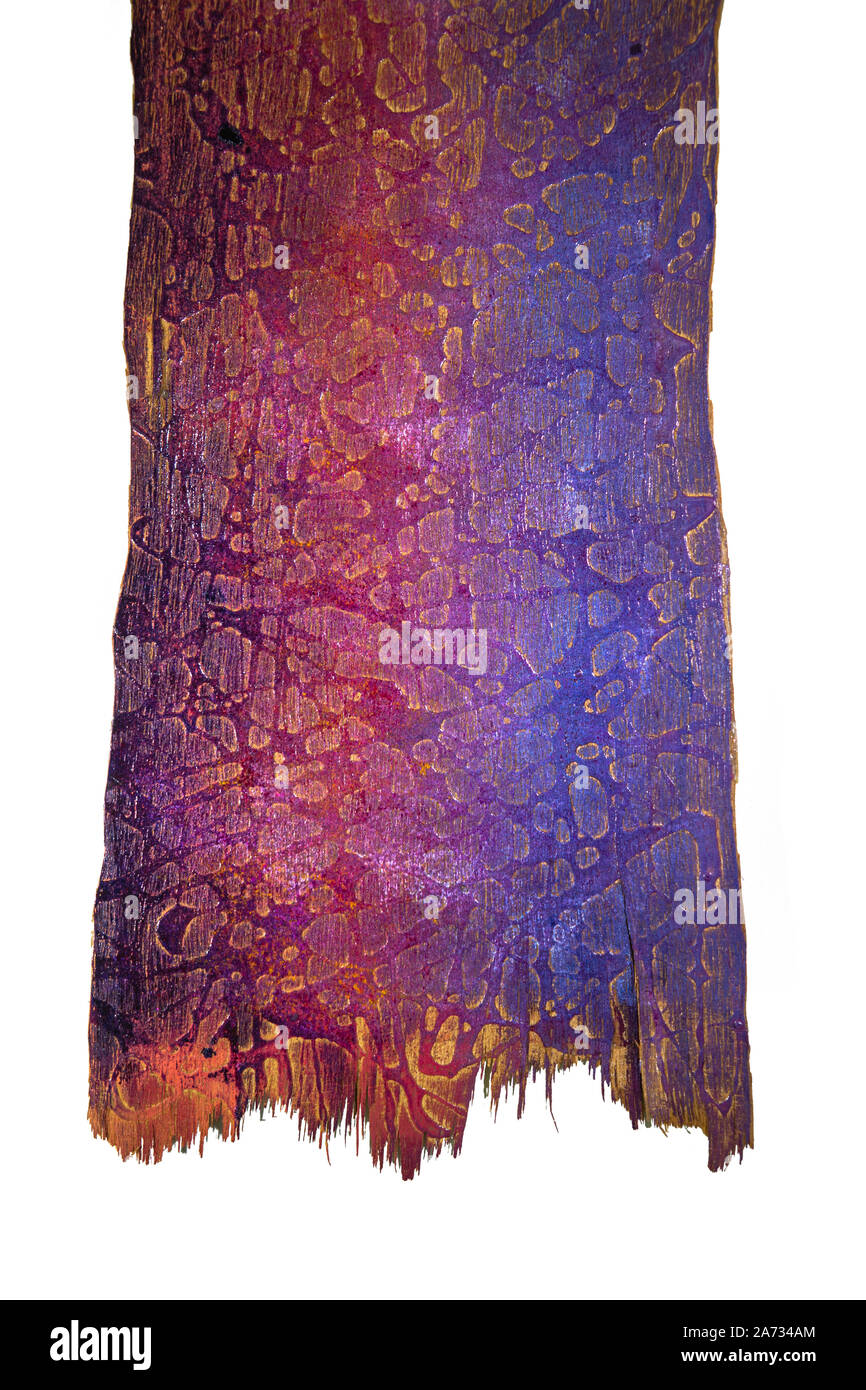using sharp wood carving tools Unwrap an image and print with ink onto ...