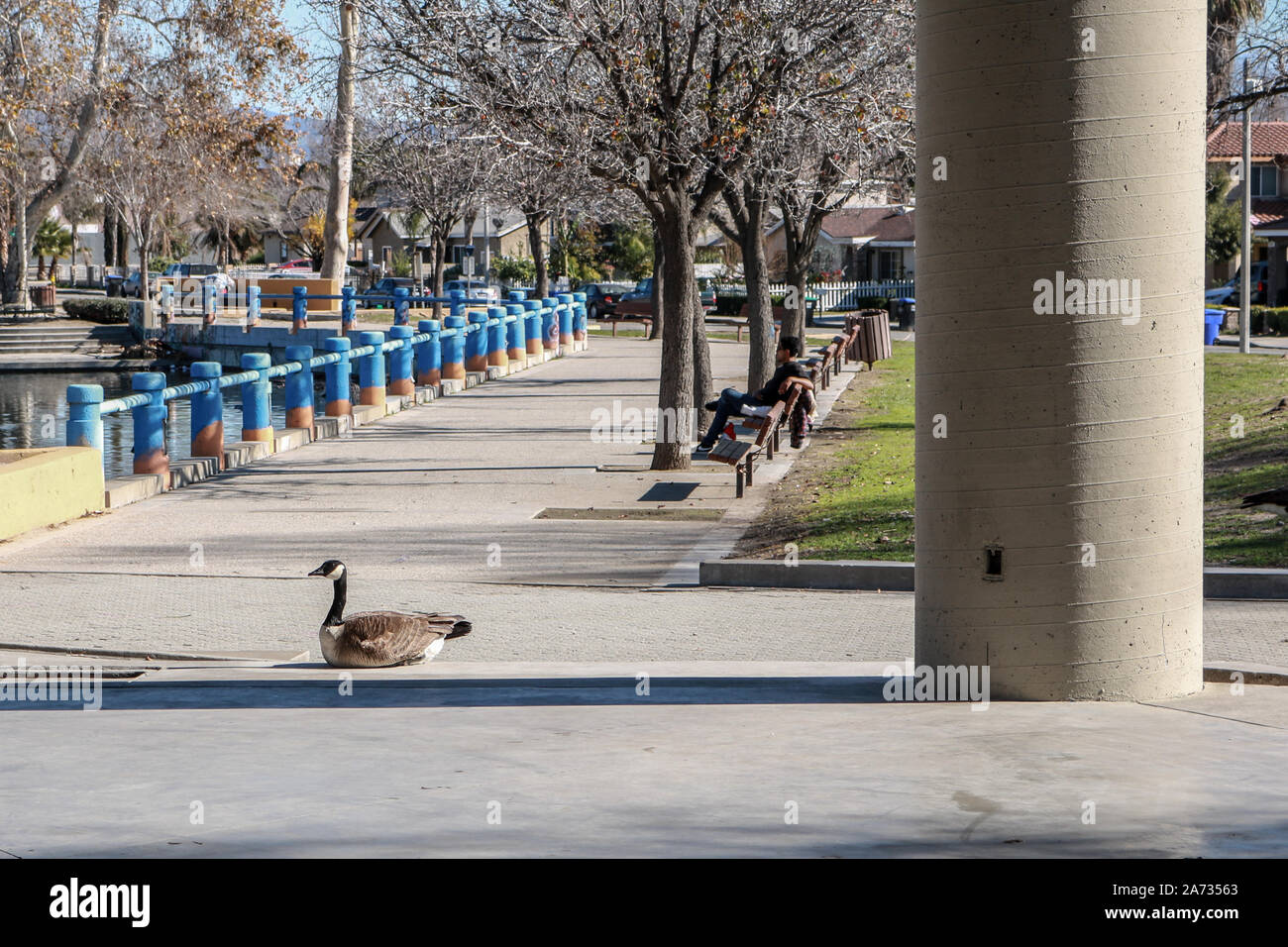 Seccombe Lake Park Stock Photo - Alamy
