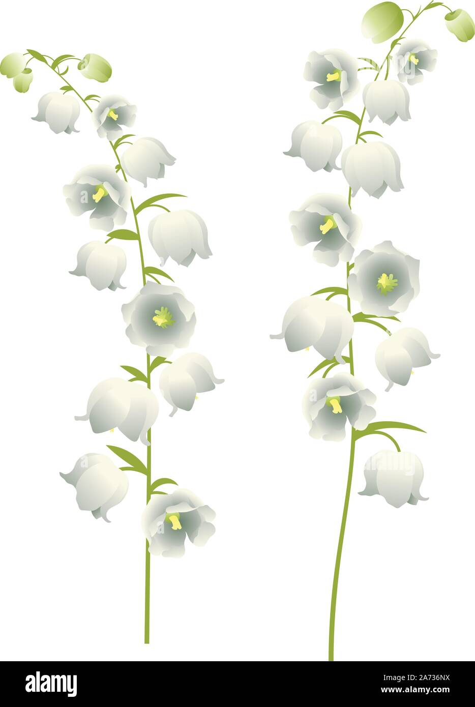 Lily Of The Valley Border Clip Art