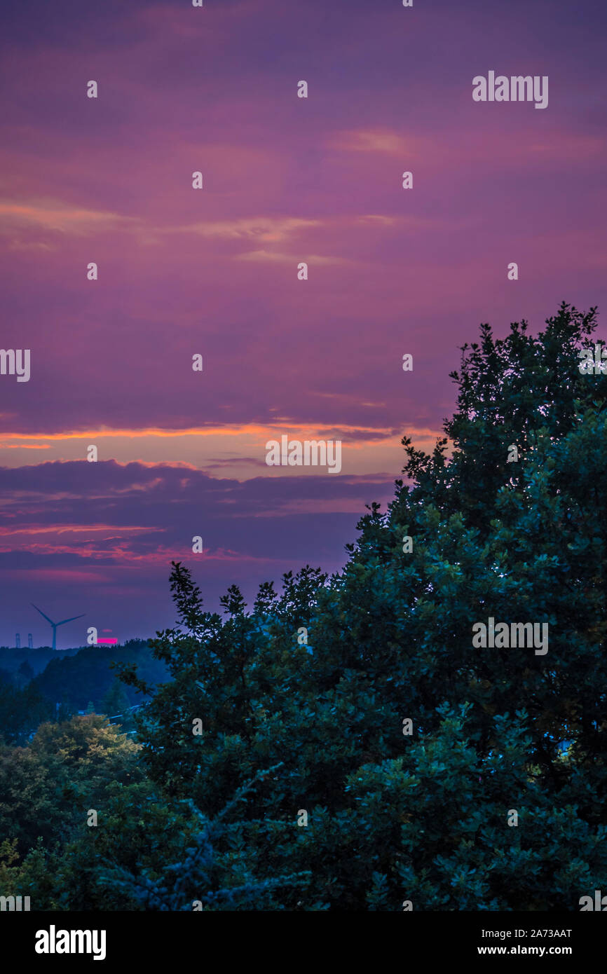 Violet, Purple, Pink, Pink Sunset. Rare and amazing Stock Photo - Alamy