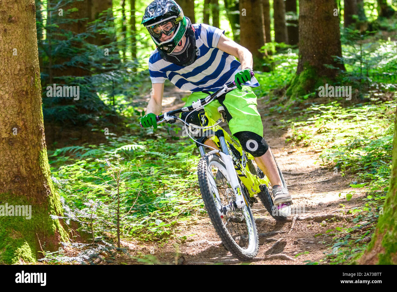 Mountainbike riders doing a courageous downhill on forest trails Stock ...