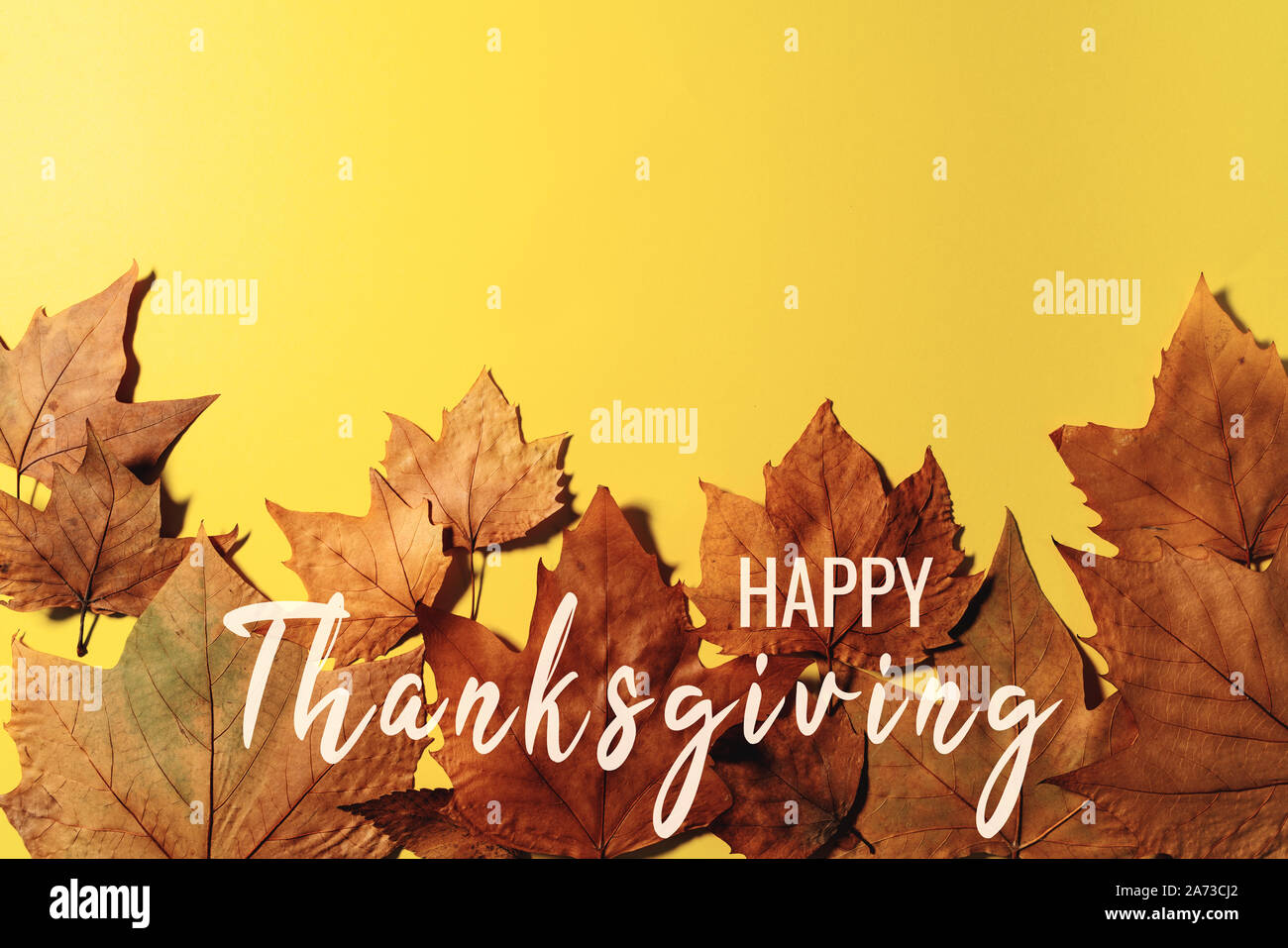 Happy Thanksgiving Day with Maple leave and text Stock Photo - Alamy