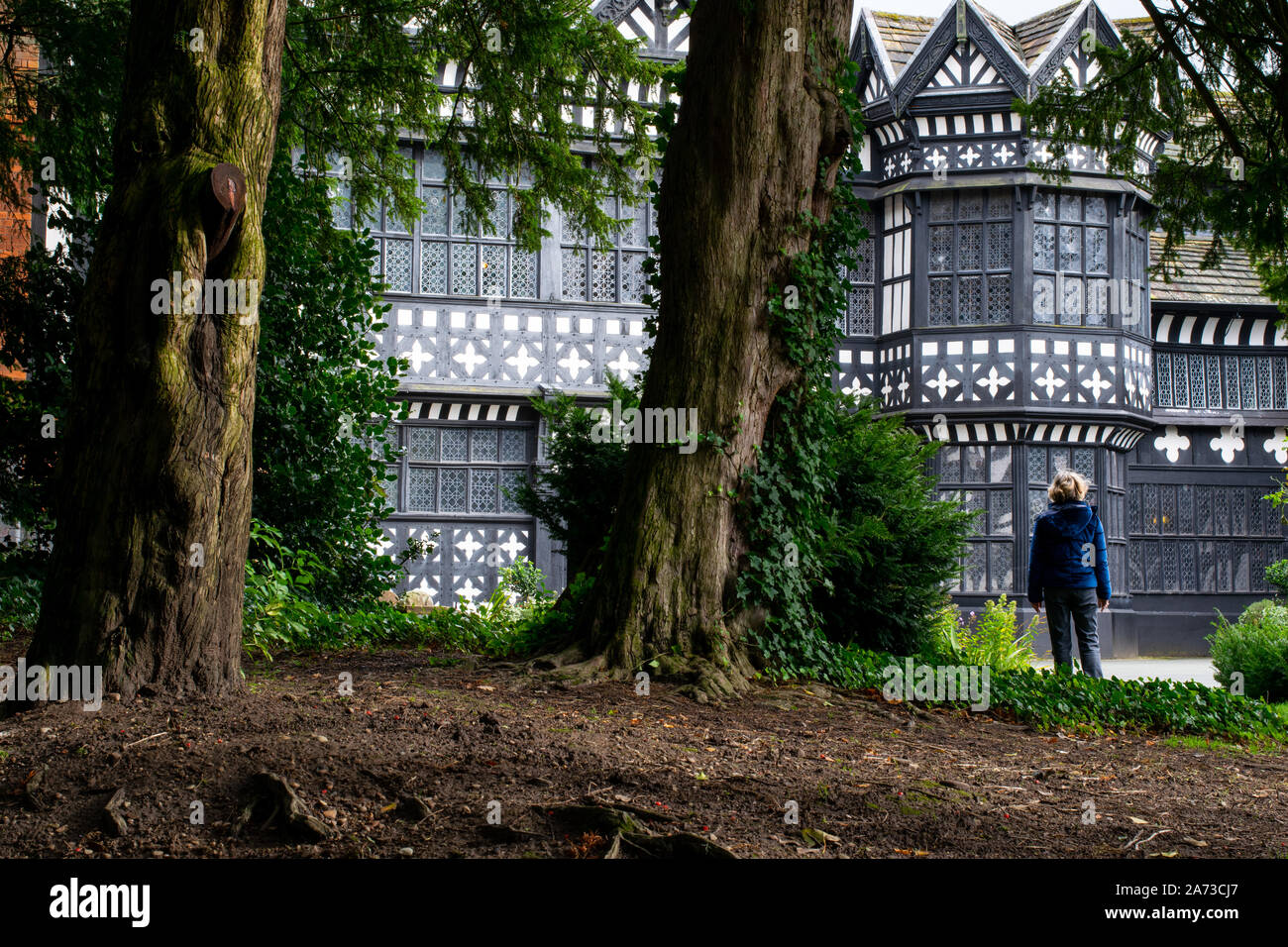 The holly and the ivy tudor hi-res stock photography and images - Alamy