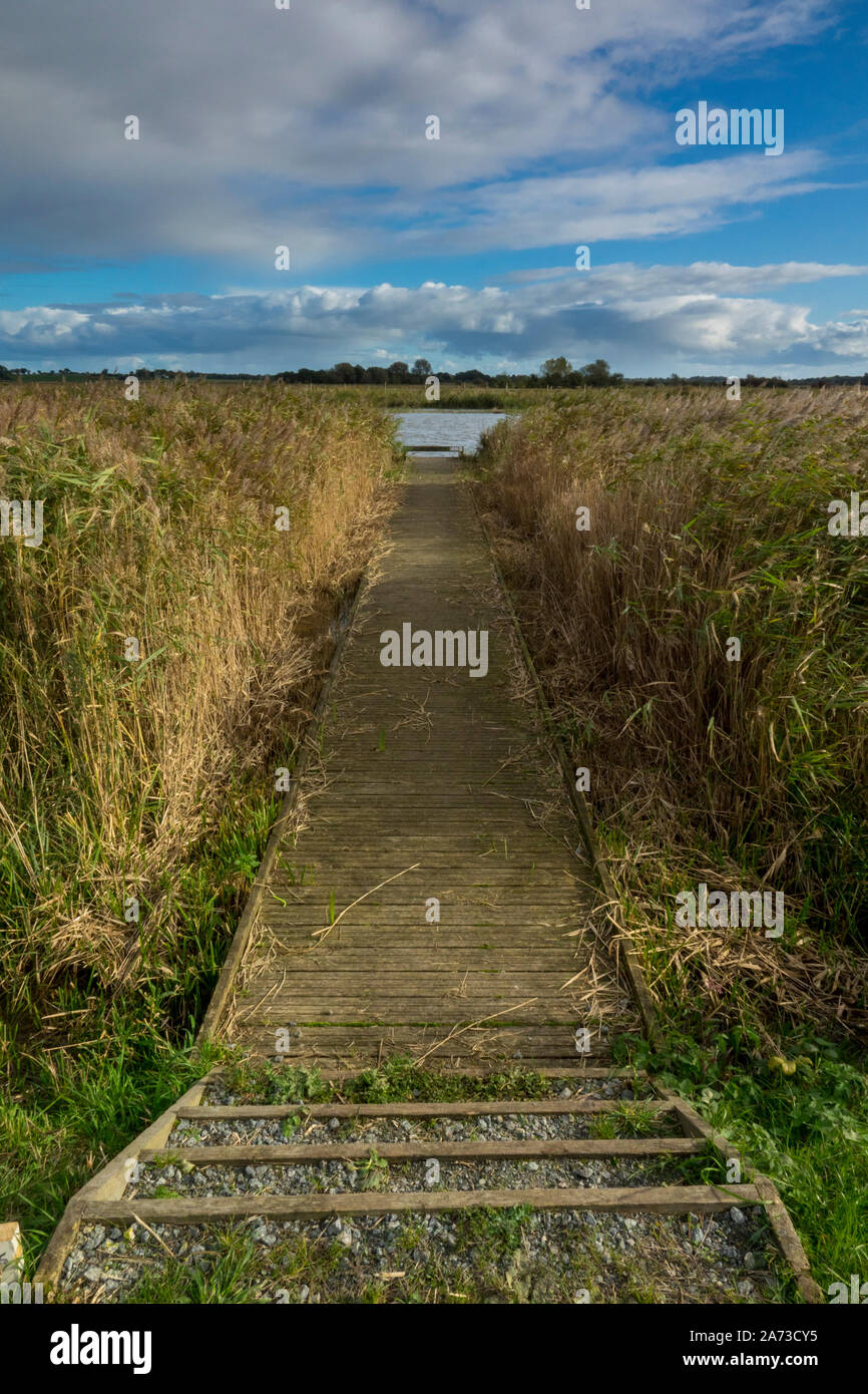 Fishing peg hi-res stock photography and images - Alamy