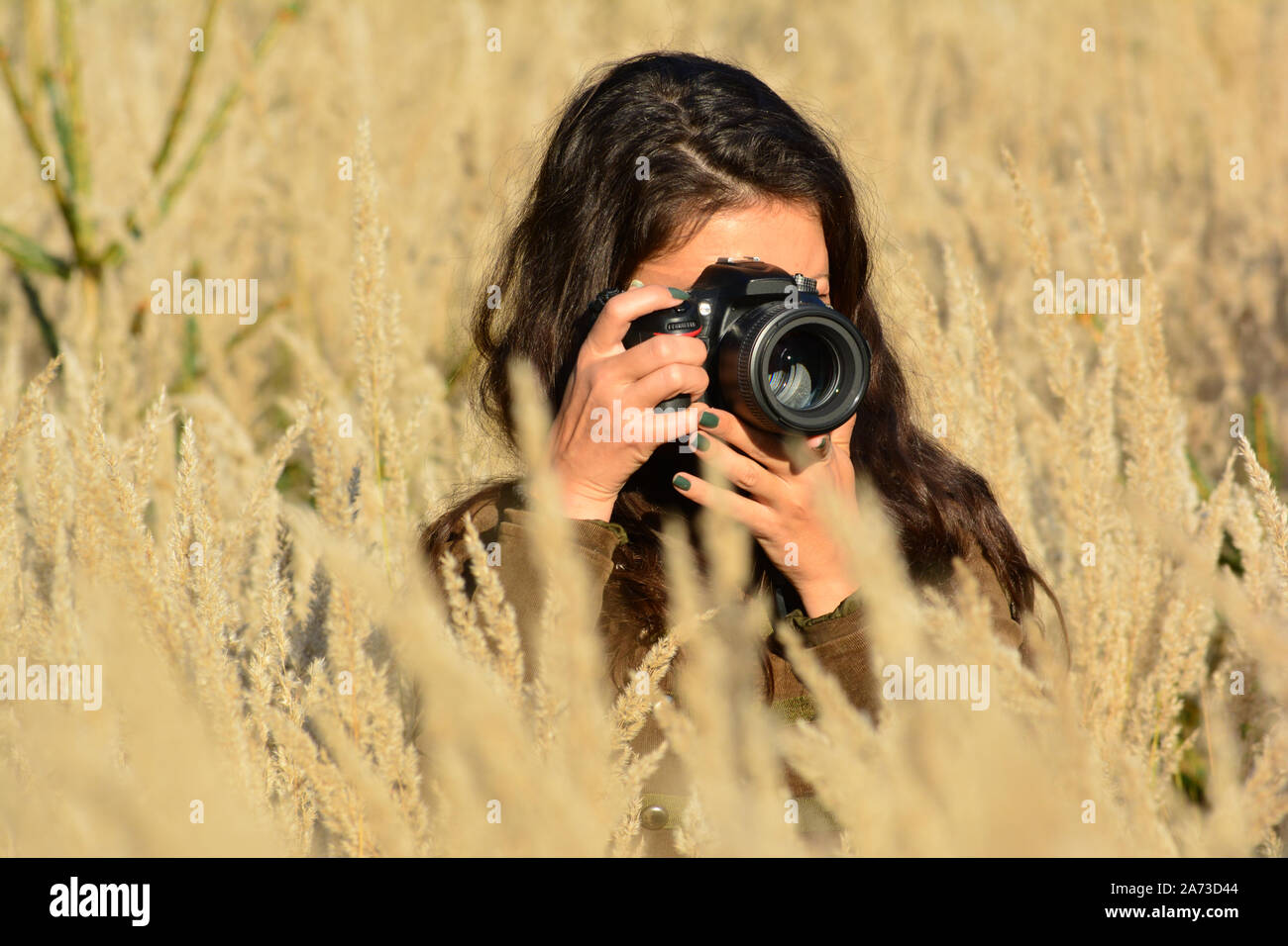 Girl in tall grass hi-res stock photography and images - Alamy