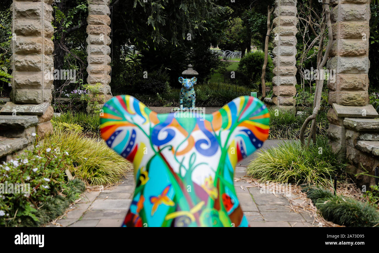 Sydney. 30th Oct, 2019. Photo taken on Oct. 30, 2019 shows two koala ...