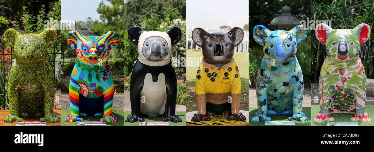 Sydney. 30th Oct, 2019. Combo photo taken on Oct. 30, 2019 shows koala ...