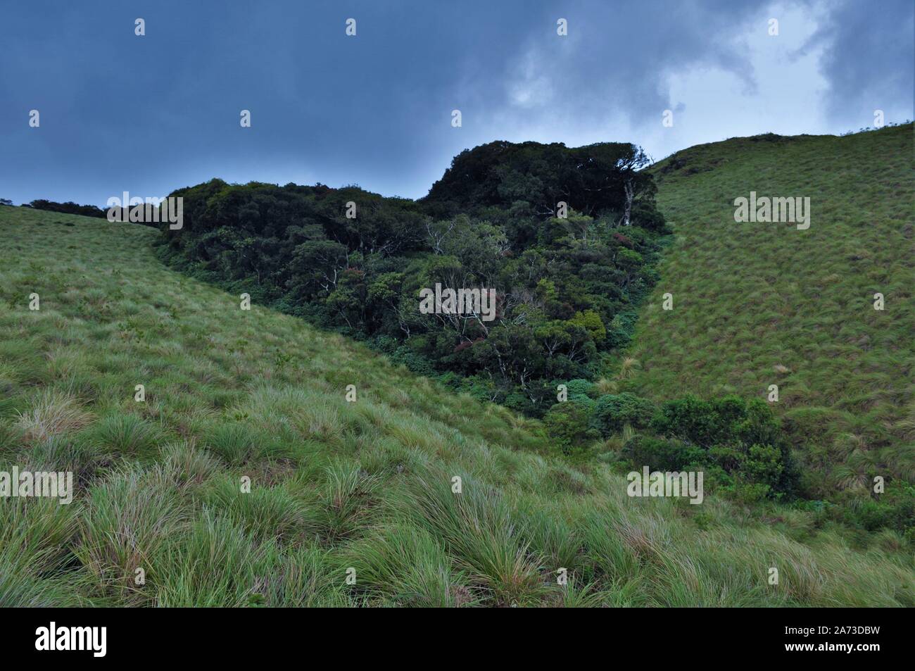 Beauty of western ghats - The Western Ghats, also known as Sahyadri ...