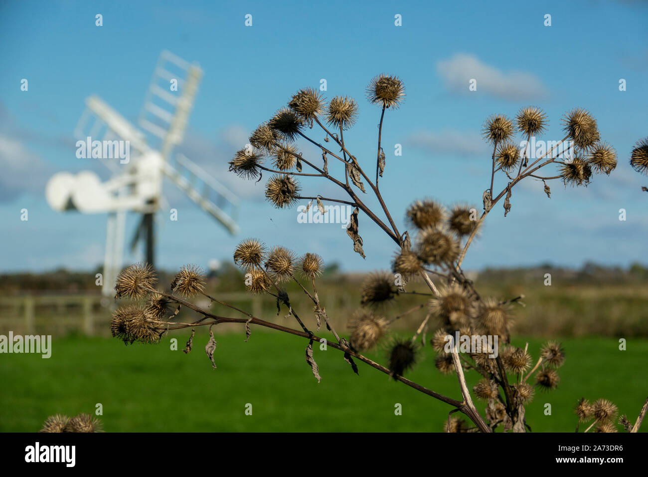 Palmers drainage windmill hi-res stock photography and images - Alamy