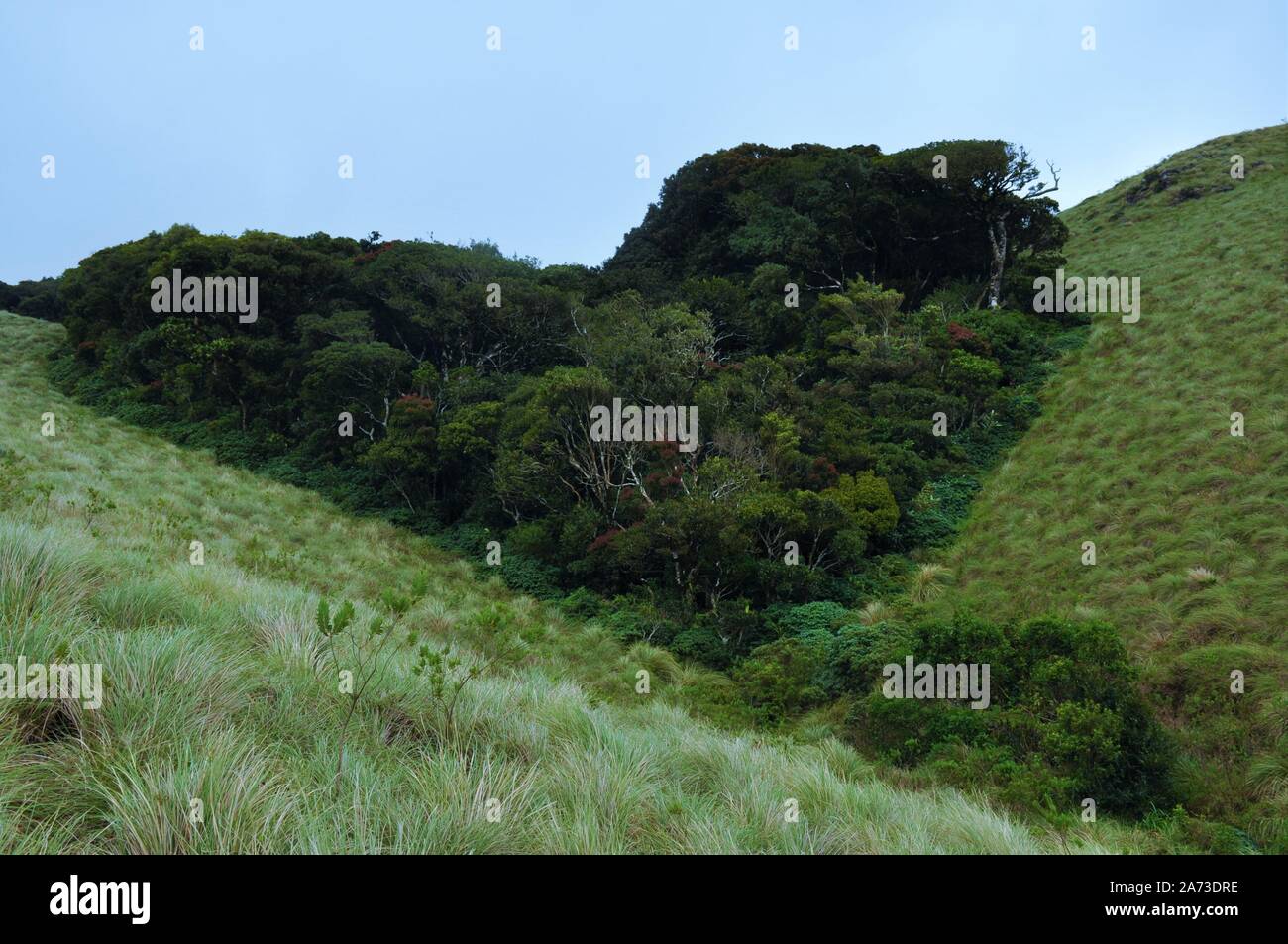 Western ghats, sahyadri mountains hi-res stock photography and images ...