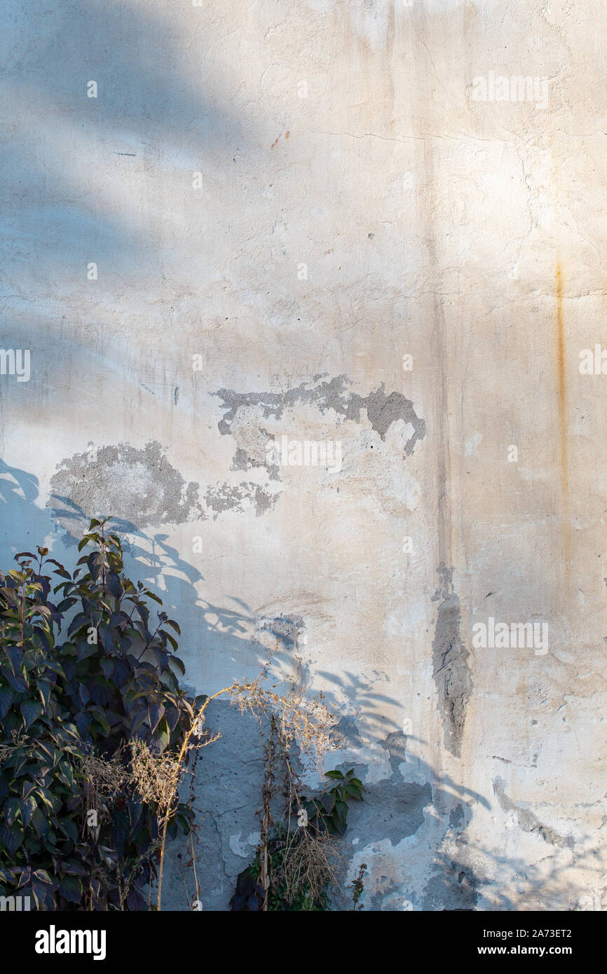 Old wall with peeling stucco. wall texture with natural light Stock ...