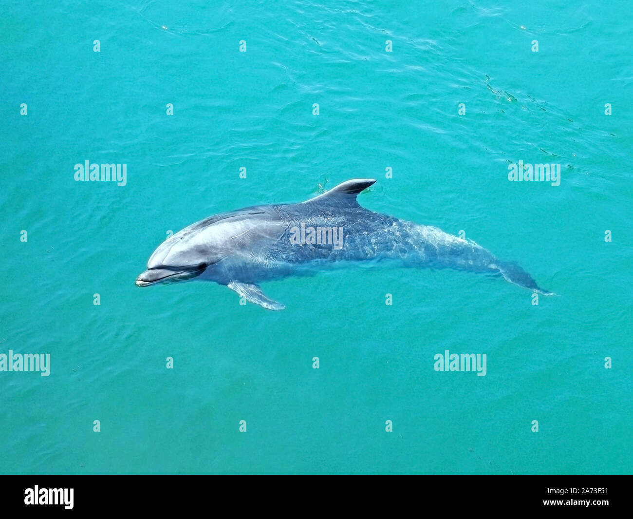 Emerald green sea hi-res stock photography and images - Alamy