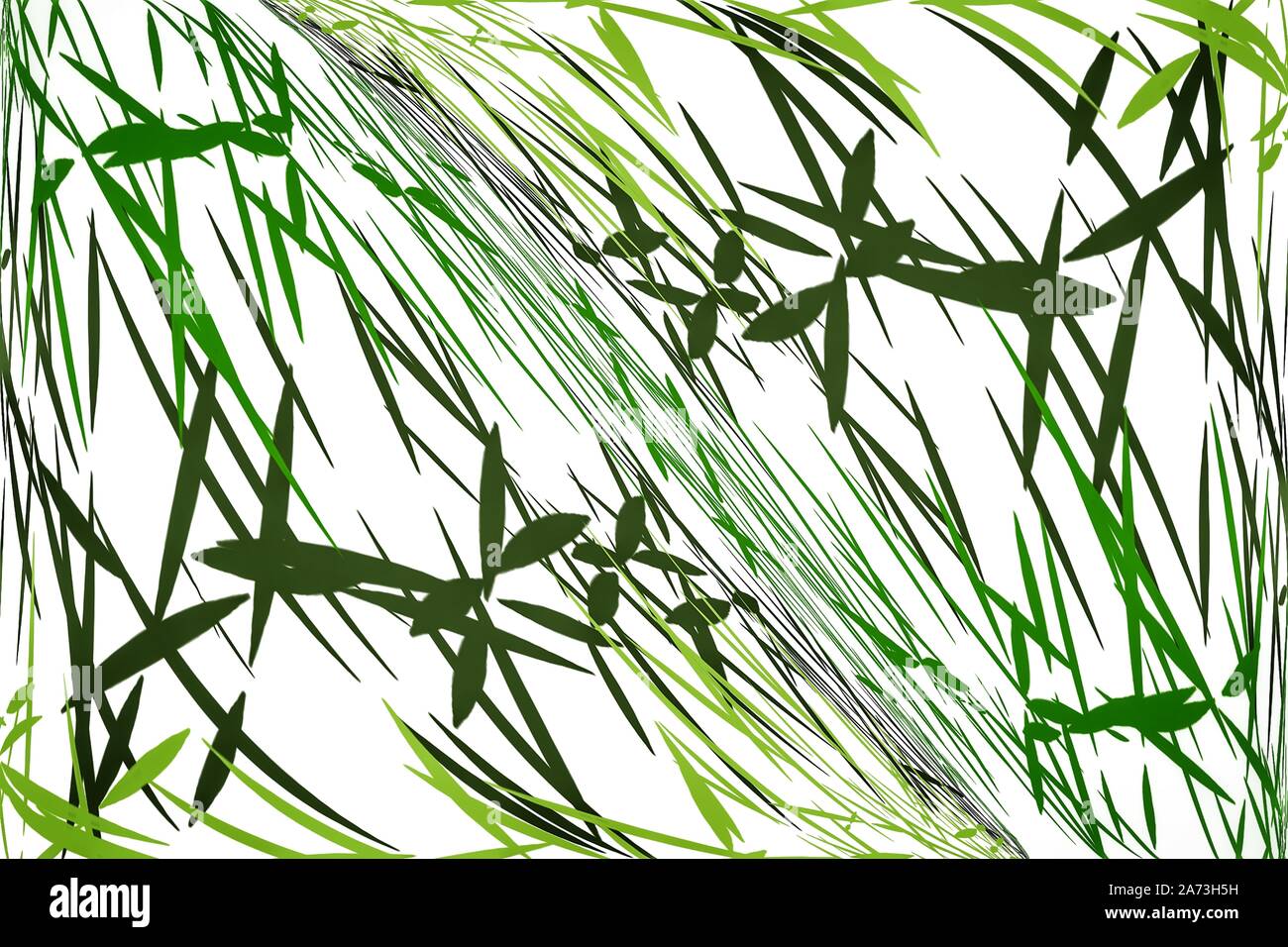 Natural green abstract background, Beautiful nature collection. Texture ...