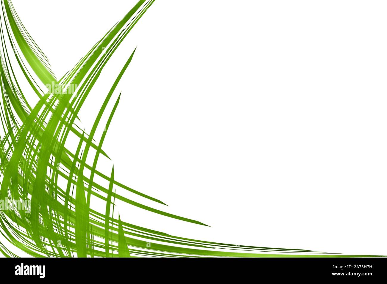 Natural green abstract background, Beautiful nature collection. Texture ...