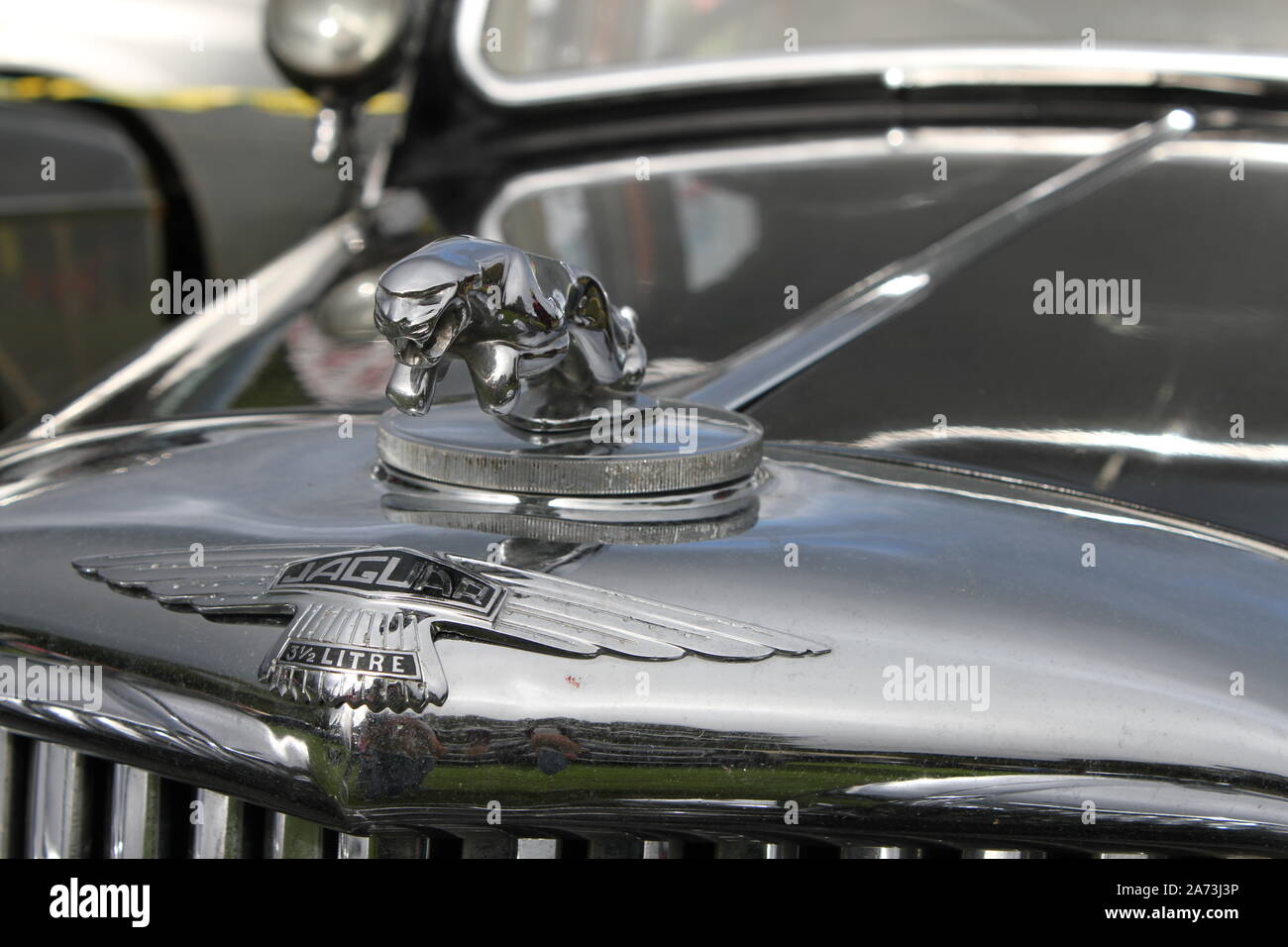 The leaping Jaguar logo on the front of a vintage Jaguar 3.5 litre car ...