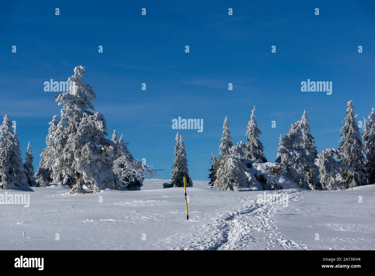 Winter view of Vitosha Mountain with hills covered with snow, Sofia ...