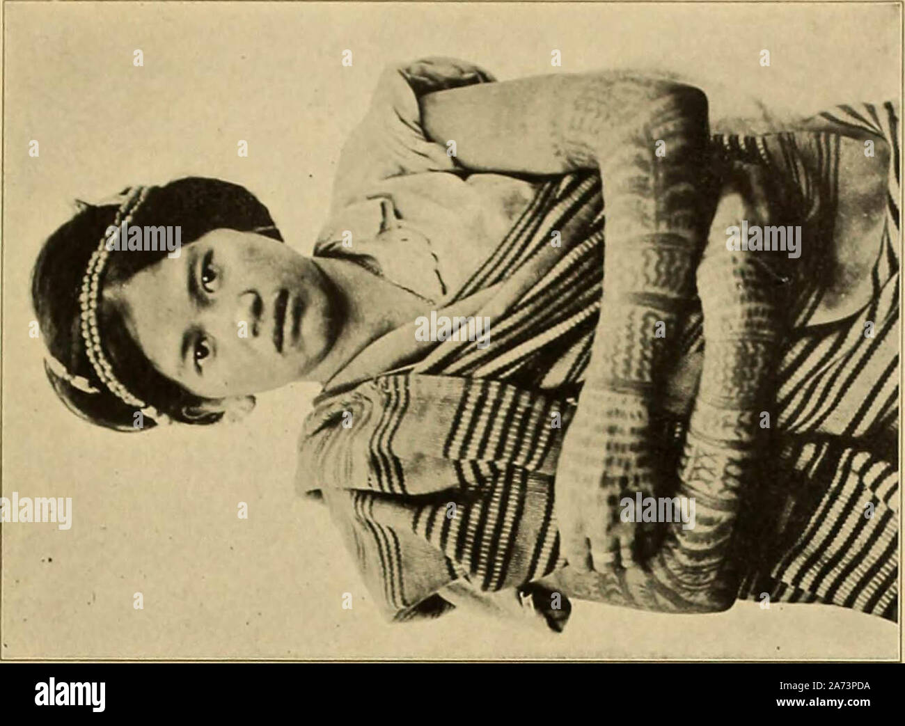 "The Philippine journal of science" (1906 Stock Photo - Alamy