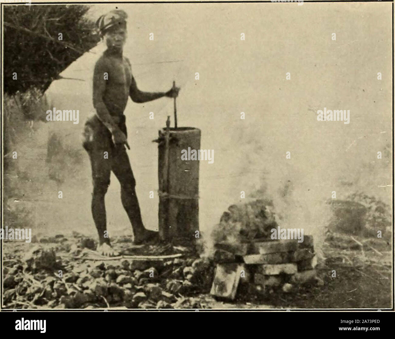 "The Philippine journal of science" (1906 Stock Photo - Alamy