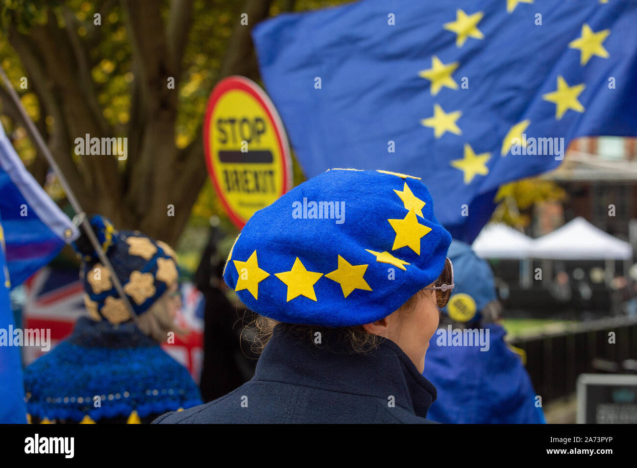 Westminster, London, UK. 29th October, 2019. A Brexit remain campaigner ...