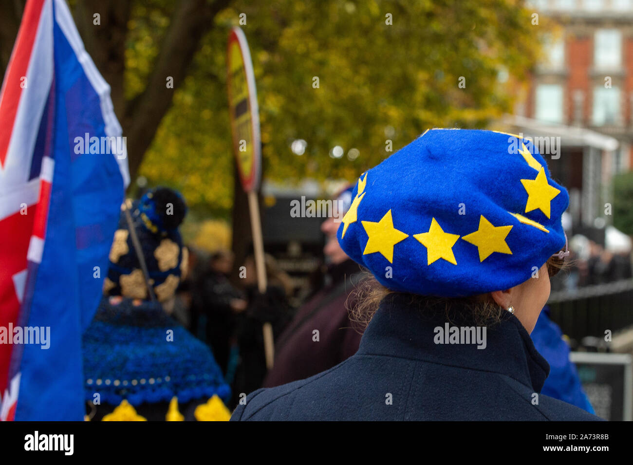 Westminster, London, UK. 29th October, 2019. A Brexit remain campaigner ...