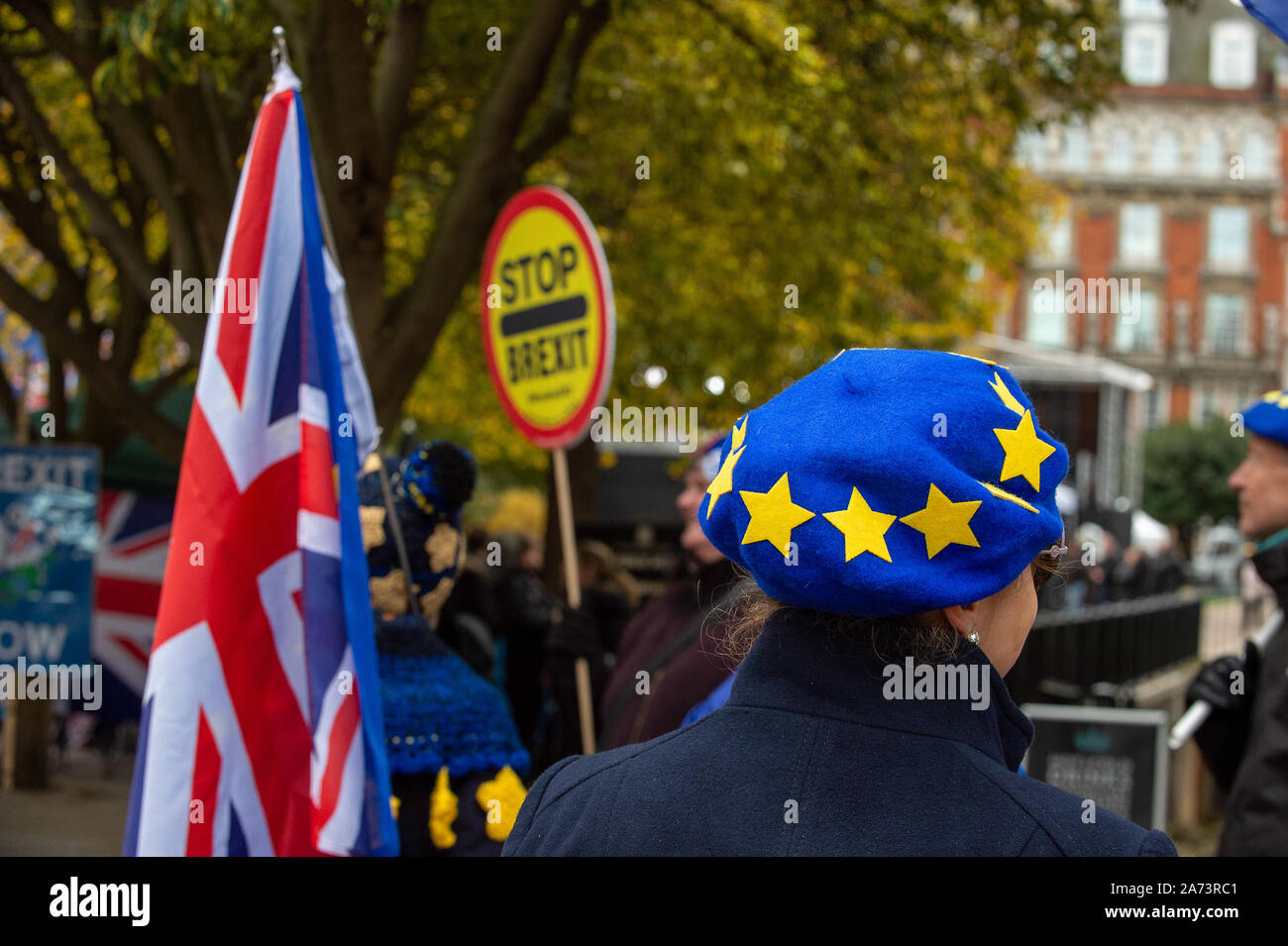 Westminster, London, UK. 29th October, 2019. A Brexit remain campaigner ...