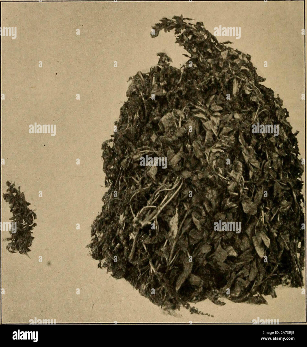 "Manures and fertilizers; a text-book for college students and a work ...