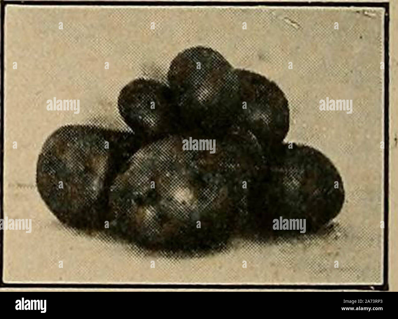 "Manures and fertilizers; a text-book for college students and a work ...