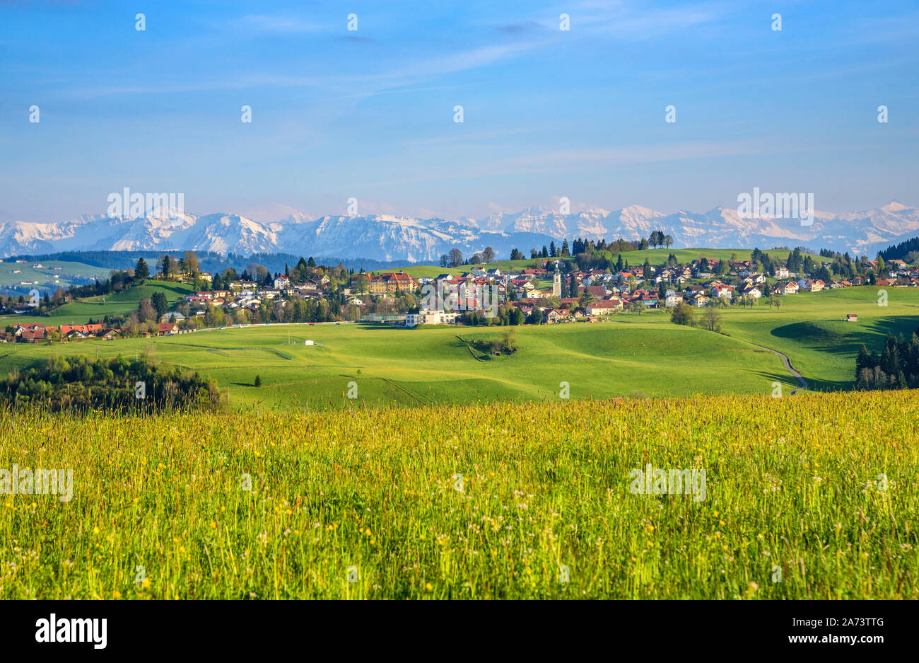 Springtime afternoon in western Allgäu near Scheidegg Stock Photo - Alamy