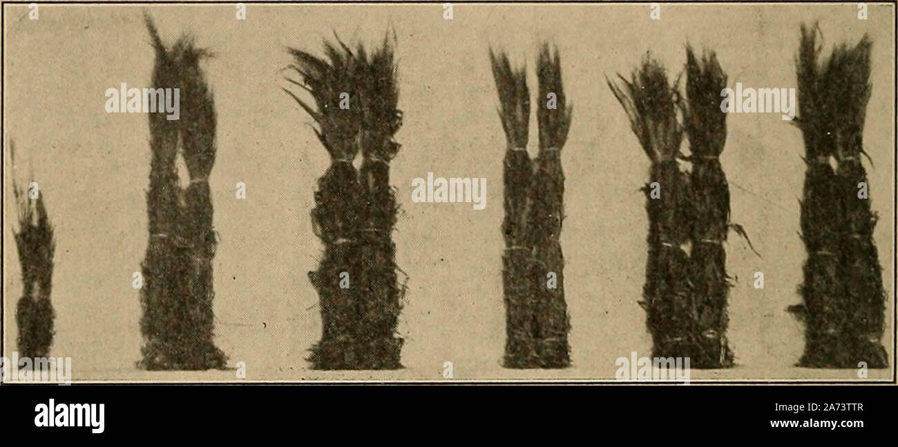 "Manures and fertilizers; a text-book for college students and a work ...