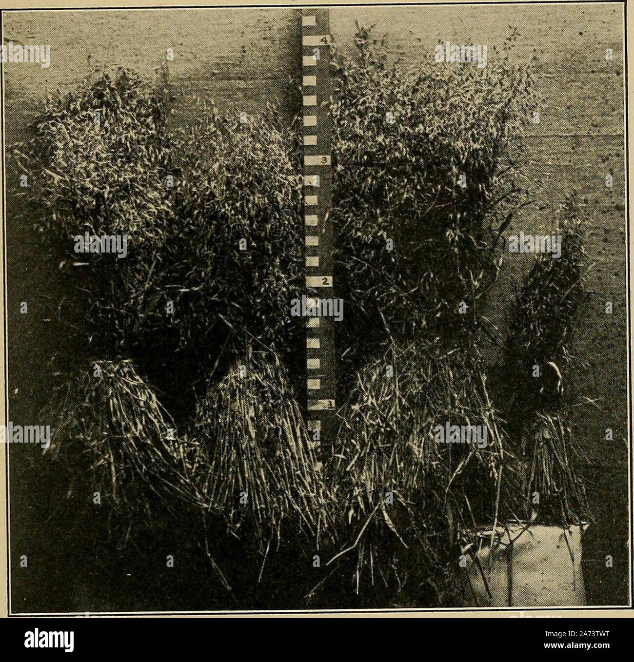 "Manures and fertilizers; a text-book for college students and a work ...