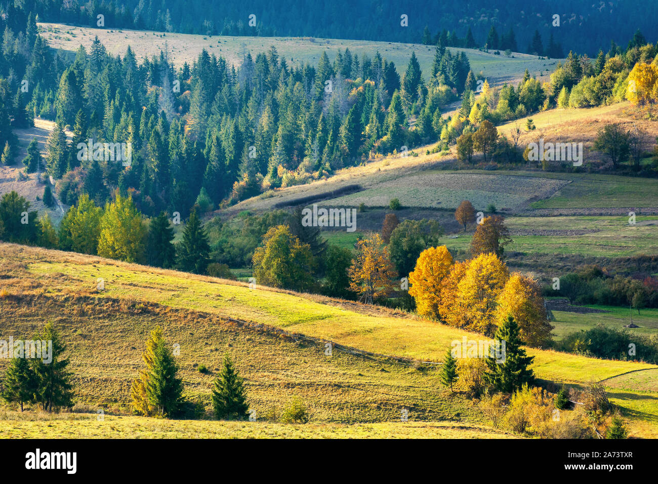 sunny autumnal rural scenery in mountains. beautiful landscape with ...